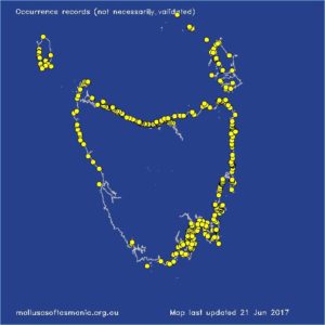 Montfortula rugosa | Molluscs of Tasmania