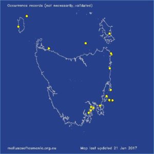 Macroctopus maorum | Molluscs of Tasmania