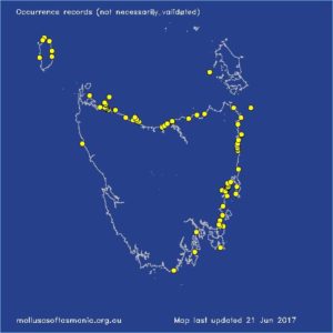 Eucrassatella kingicola | Molluscs of Tasmania
