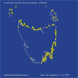 Bassina disjecta | Molluscs of Tasmania