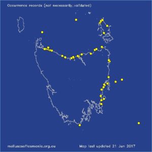 Cadulus vincentianus | Molluscs of Tasmania
