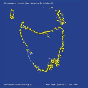 Cominella lineolata | Molluscs of Tasmania