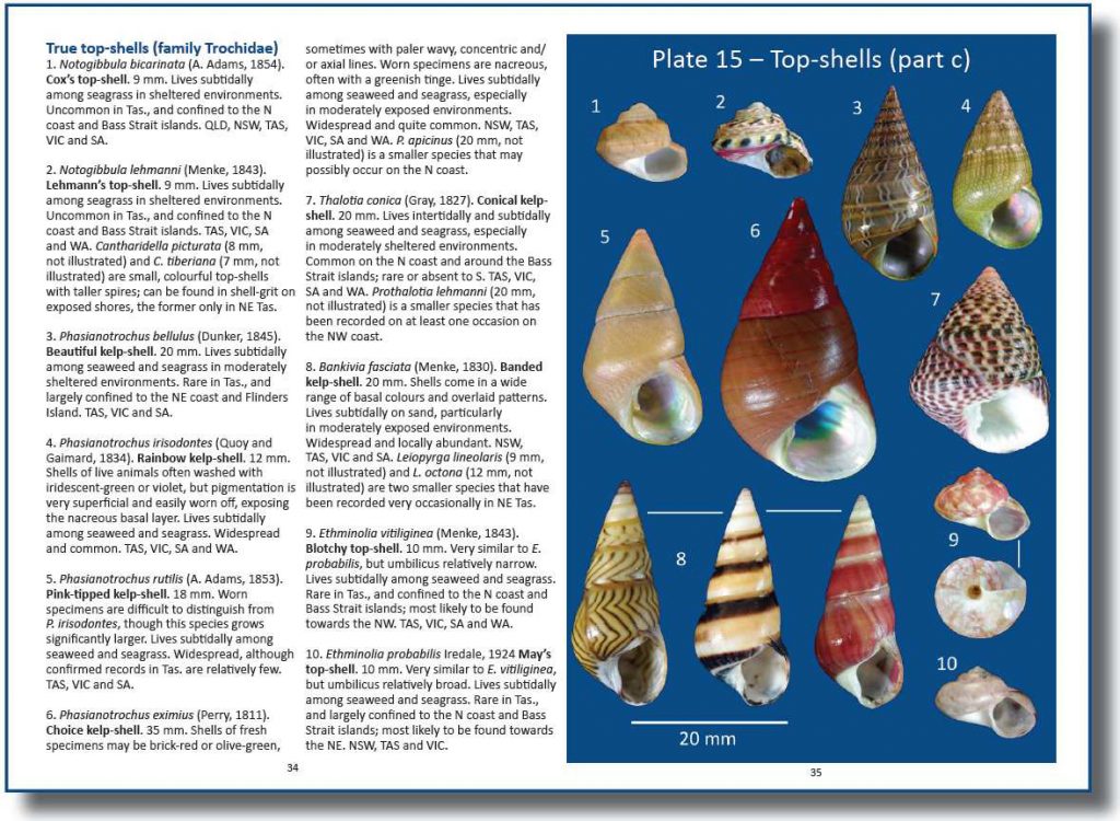 The Book | Molluscs of Tasmania